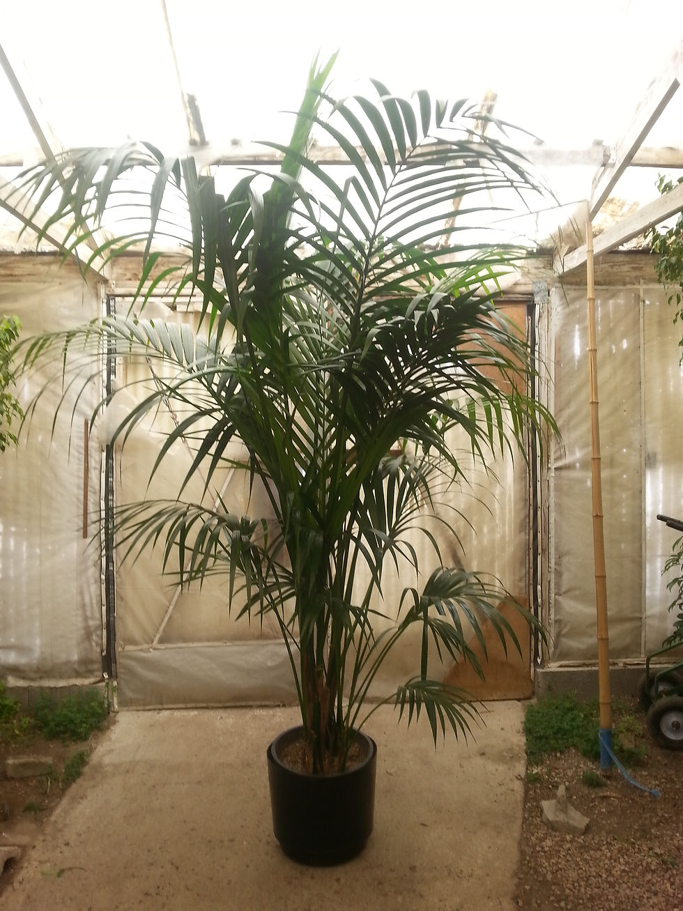 Products | Spring Valley Floral