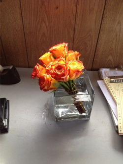 Rose Arrangement | Spring Valley Floral