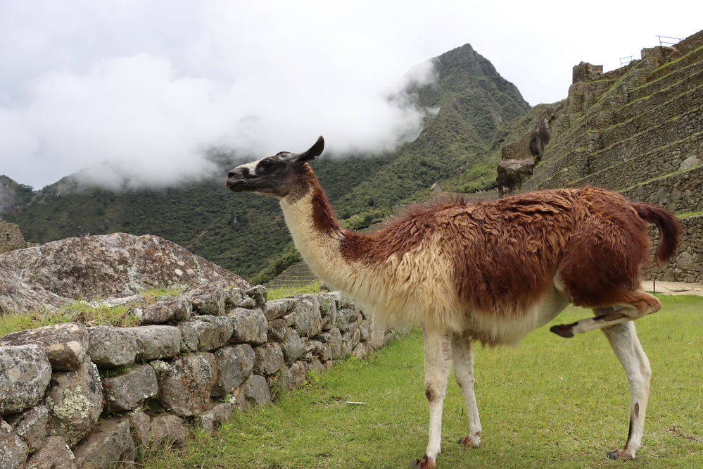 How to Get to Machu Picchu