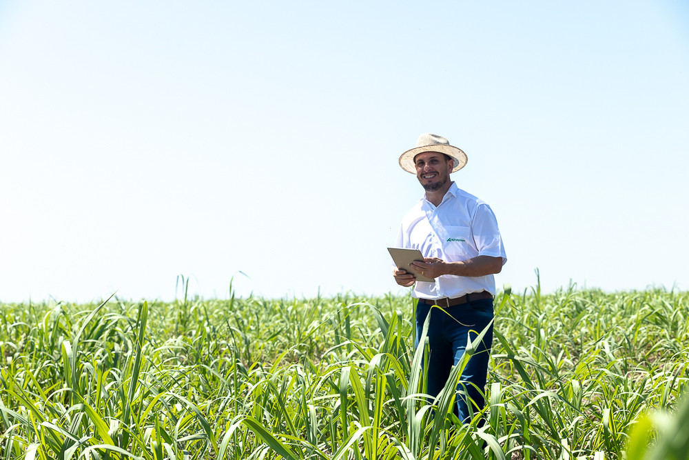 CARREIRAS | Agrosystem