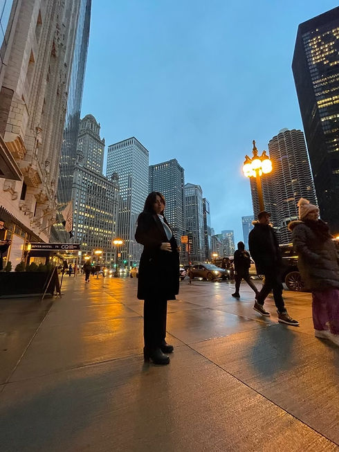 Professional | SWPA UIUC