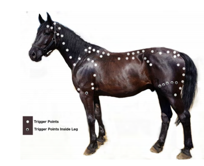 What Is A Trigger Point