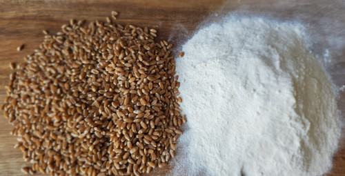 Hard Red Spring Wheat sifted | Wyoming Heritage Gra