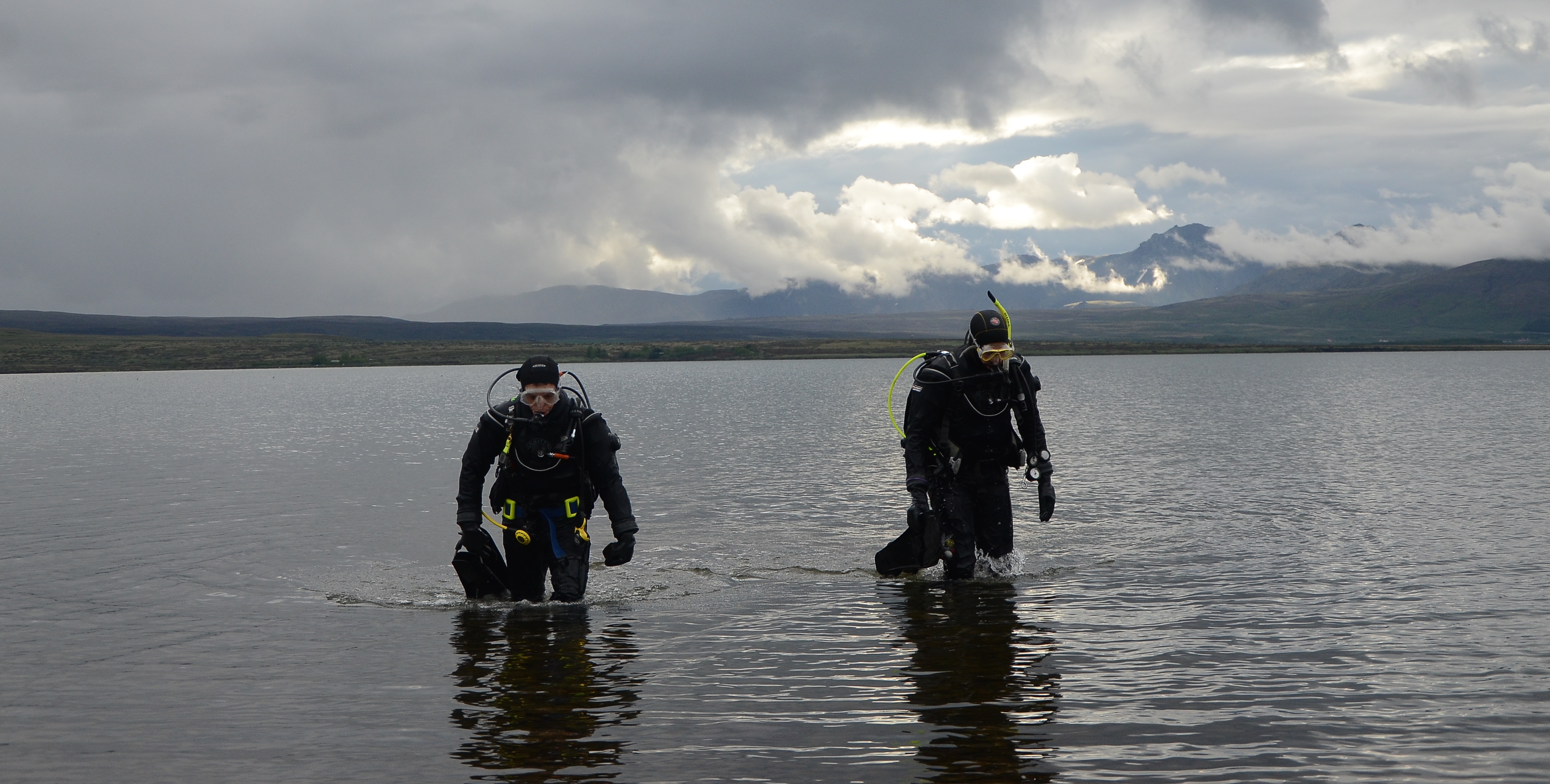 Brian Murphy Lab UIC Chicago | Chicago | Brian Murphy Lab UIC