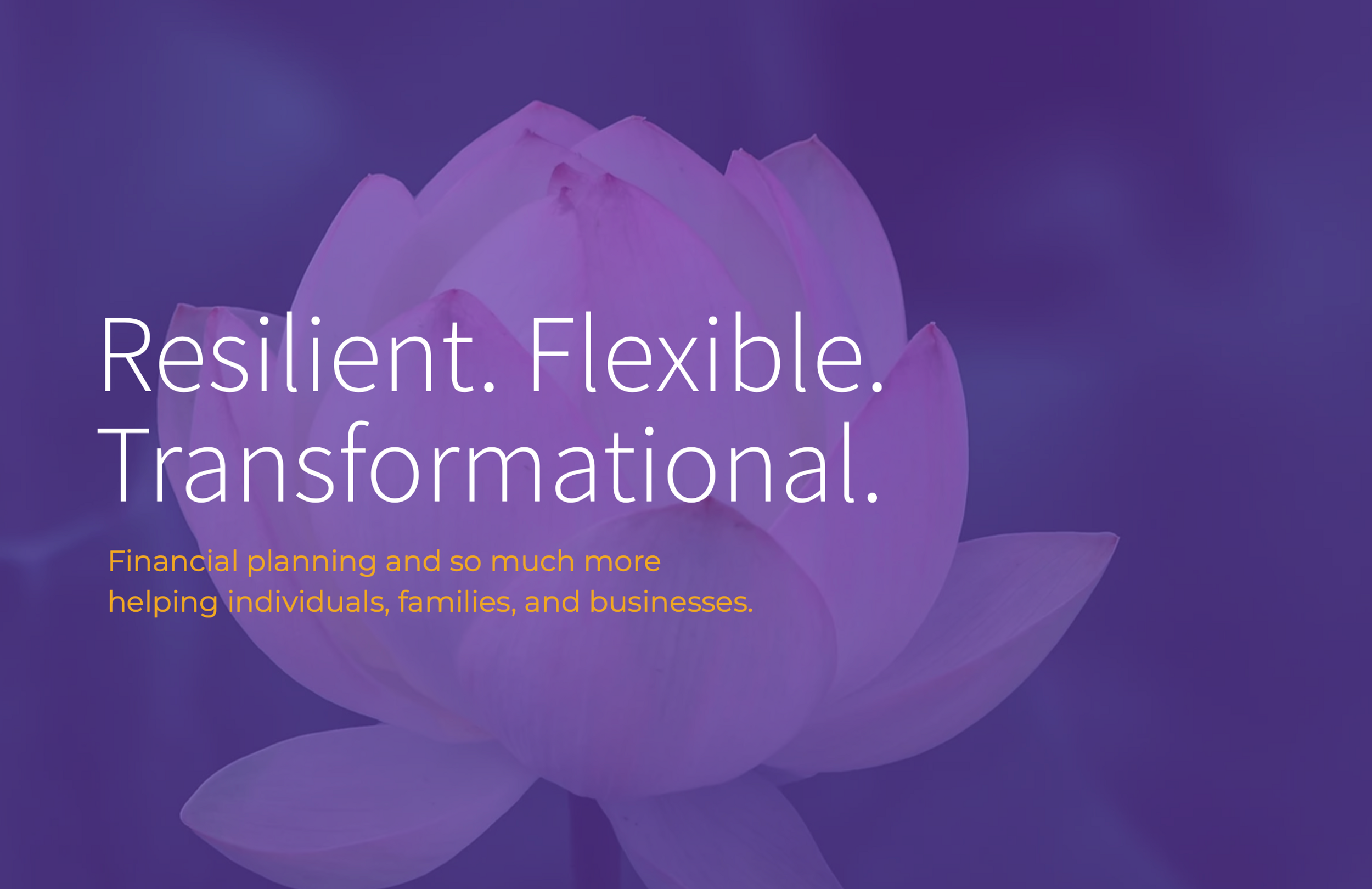 Our Team | Foresight Solutions