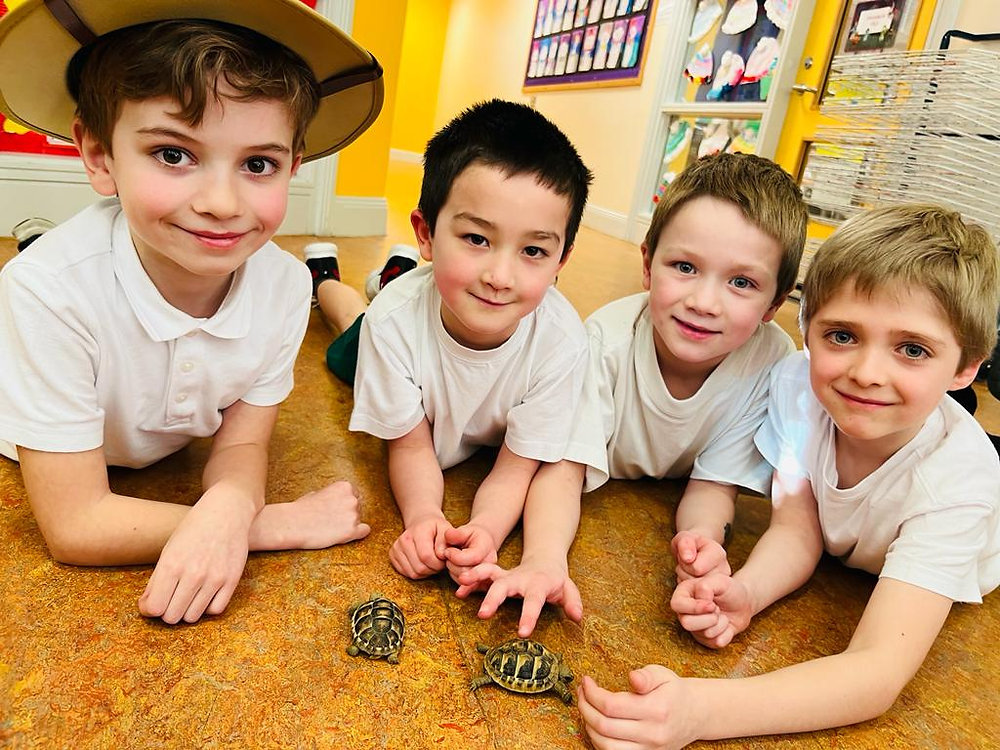 a wild time for winners at dundonald primary school!
