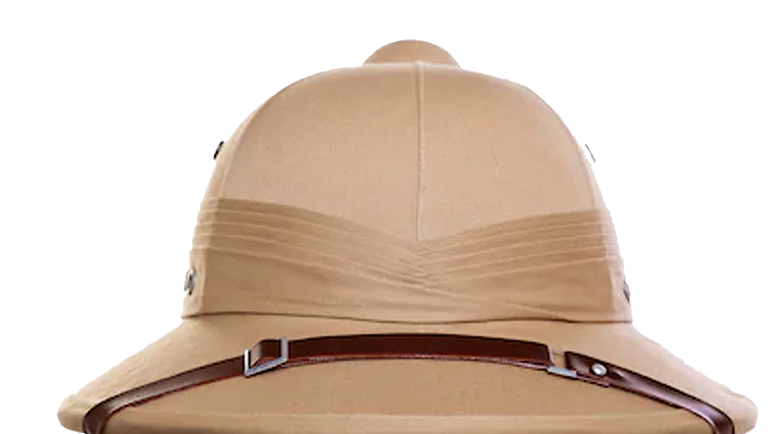 News & Events | Wee Critters Interac