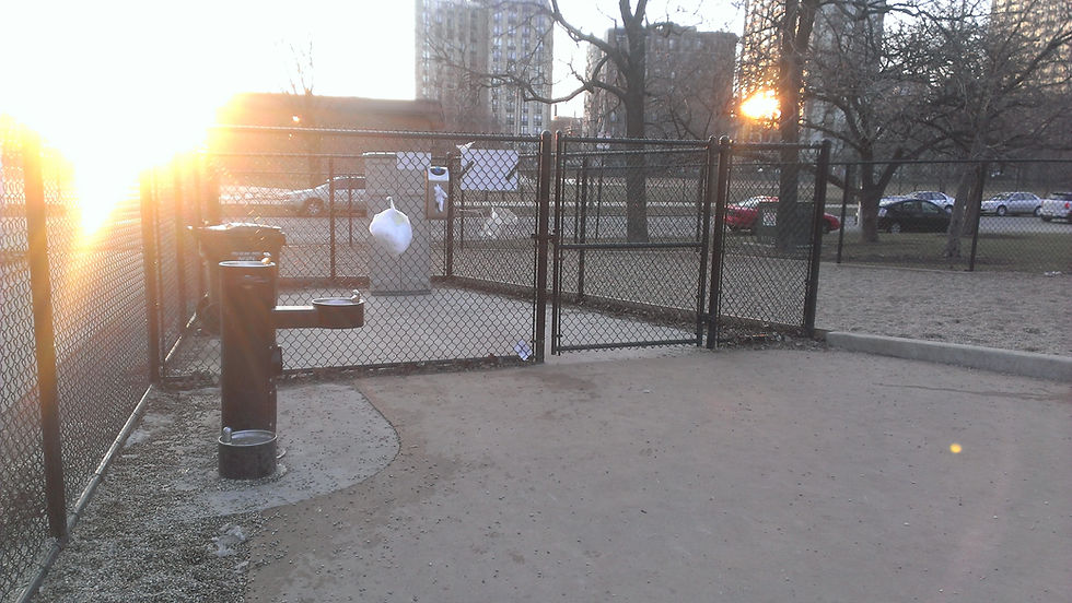 Clarendon Dog Park | Chicago Dog Parks