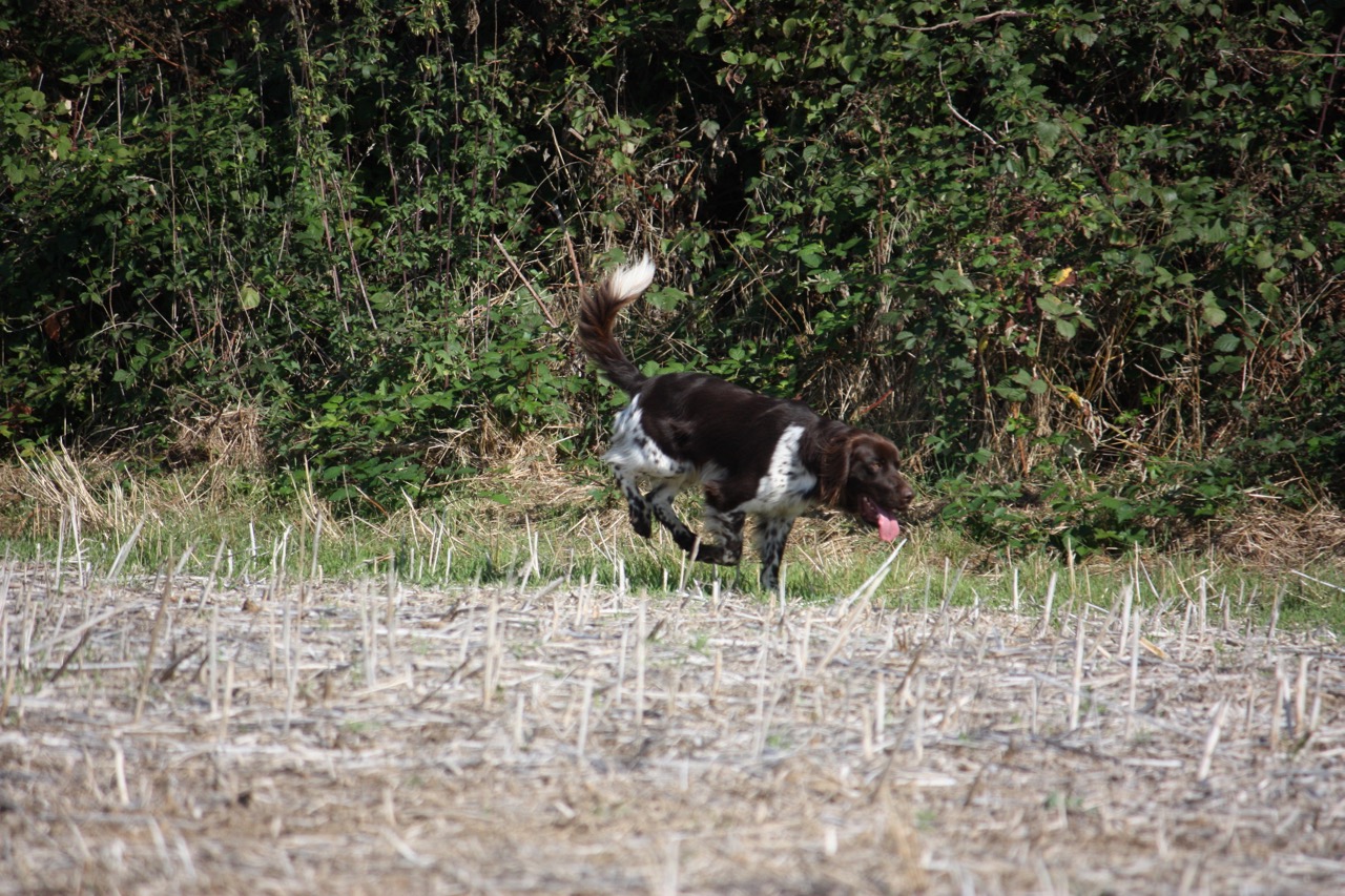 Bildergalerie | jghv