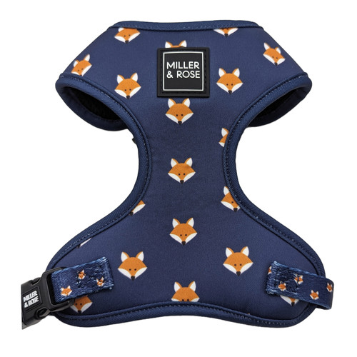 Hello Mr Fox Classic Harness | Miller & Rose