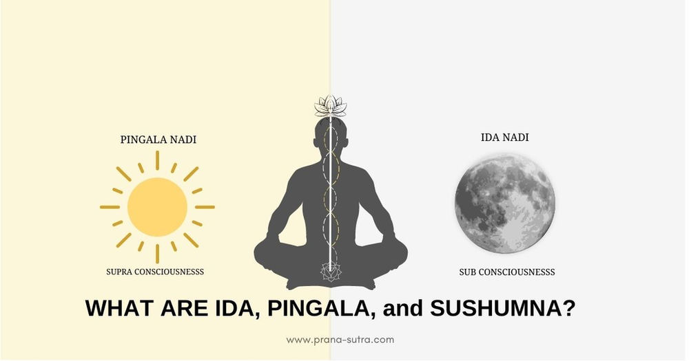 Ida, Pingala, Sushumna - Three Main Nadis in Yoga
