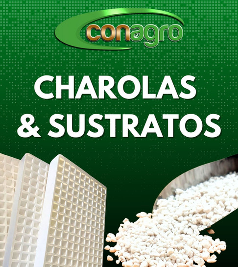 Catálogo | Grupo Conagro