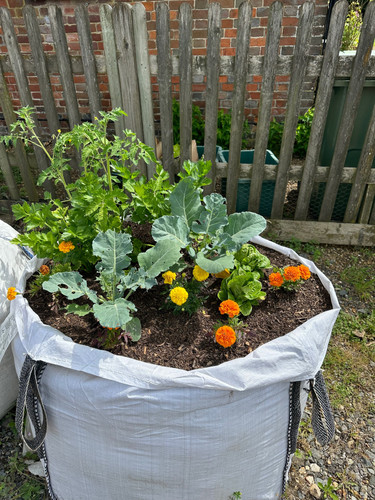 0.5m3 Organic Compost | Bassetts Farm Logs