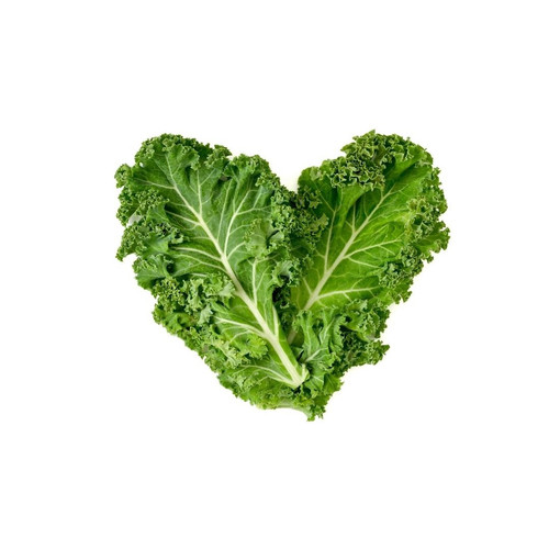 Lechuga Kale/Berza 150gr | DAC Playa del Carmen