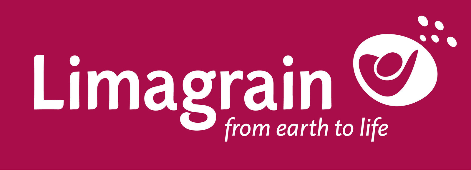 Excellence Through S | Successful Audits