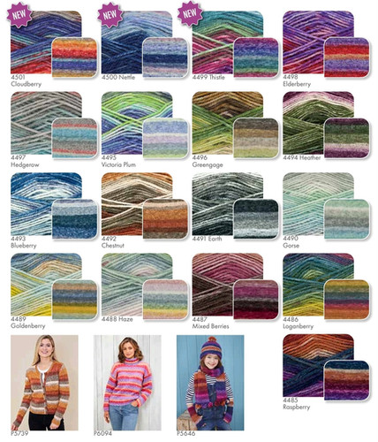 King Cole Bramble Dk Yarn 100g | Allsorts Wool App