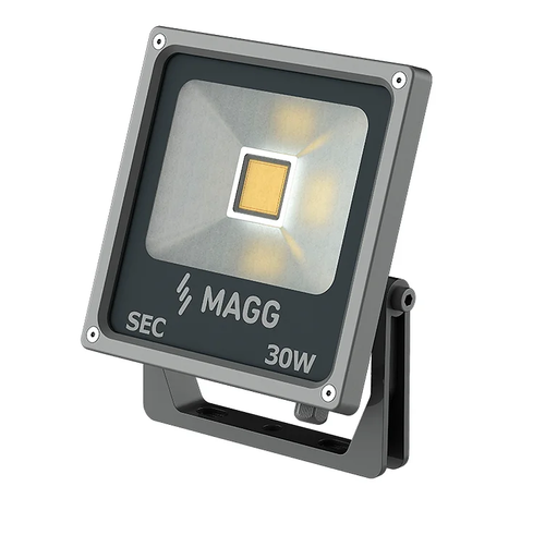 SEC 30W 100-240V 60K NG | surelectrico