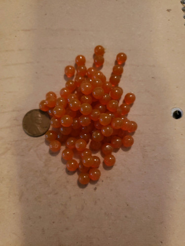 Sample Pack of 6mm Salmon Eggs | GIBSON BAITS