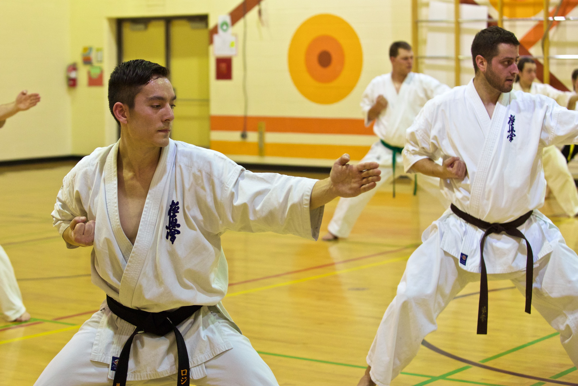 Calgary Karate Pro - Kyokushin