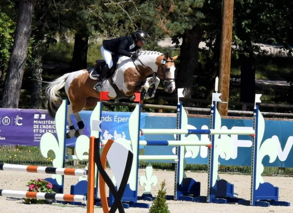 DUBAÏ DU CHANY Z | COLORED STALLIONS