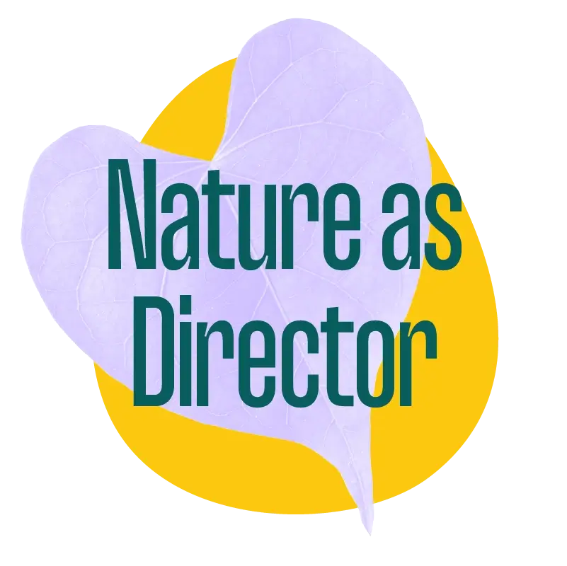Four Models | Onboarding Nature