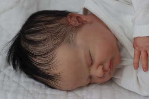 Baby MAX Reborn Doll By Laura Lee Eagles BEAUTIFUL w/ COA Ready to Ship ...