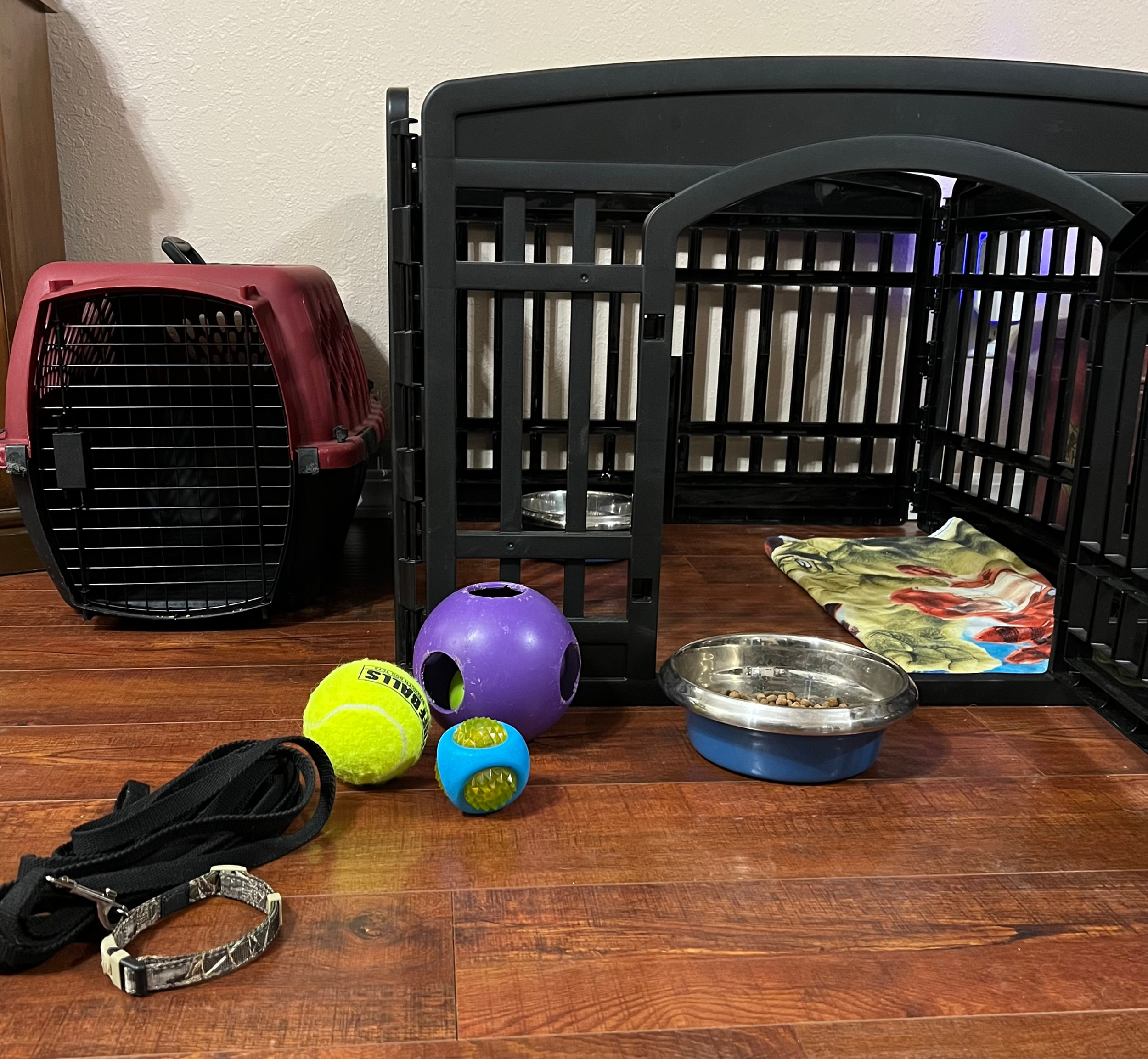 Nesting – Setting You and Your Puppy Up for Success! Puppy training ...