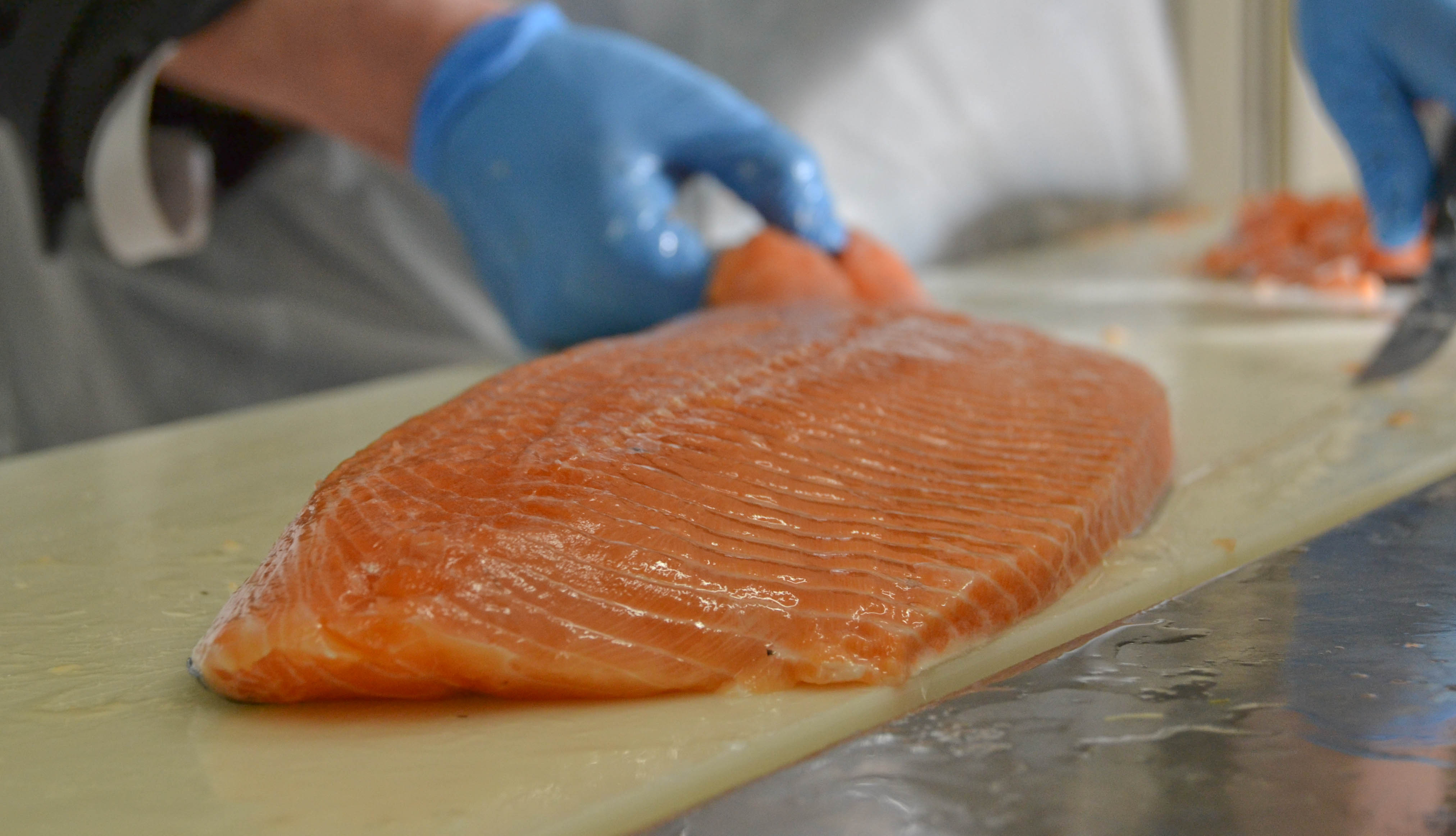 Hjem | Minhjemmeside