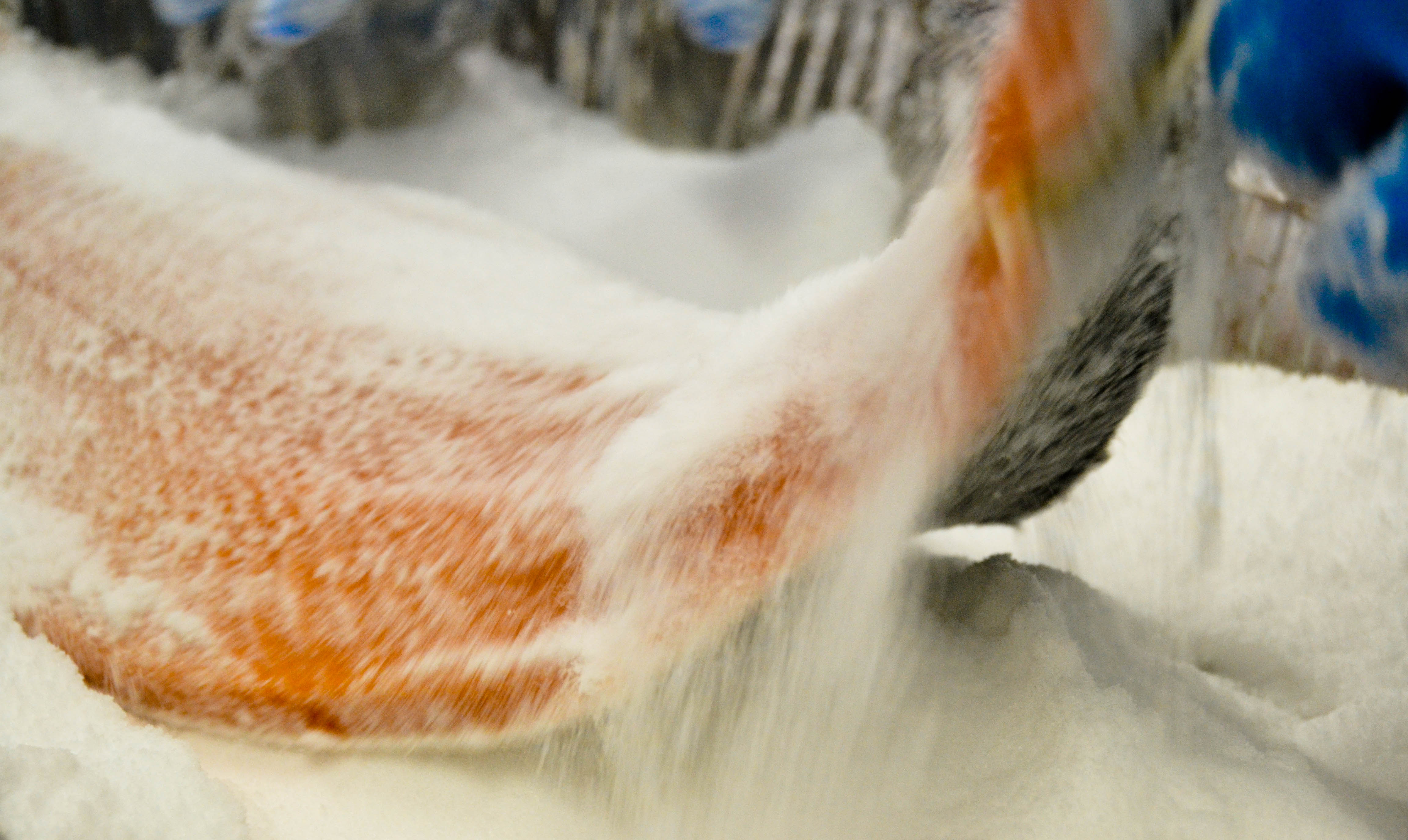 Hjem | Minhjemmeside