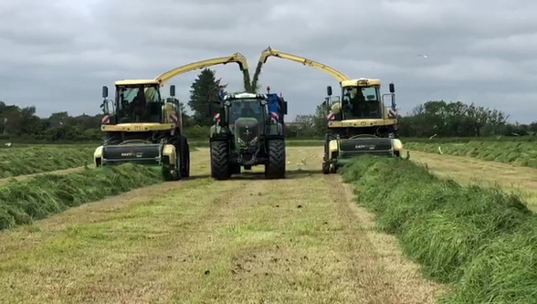 Home | Wilson Contractors