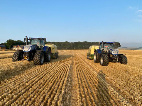 Home | Wilson Contractors