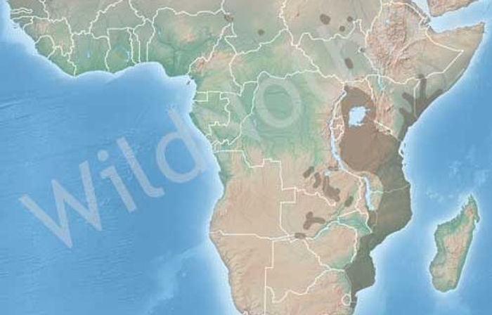 Distribution & Biogeography of Nothobranchius