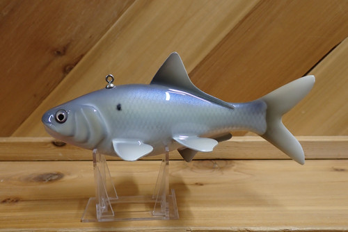 Clear Water Gizzard Shad | wallacedecoys
