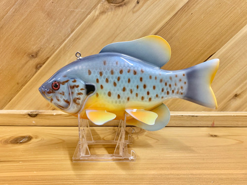 Orange spotted Sunfish | wallacedecoys