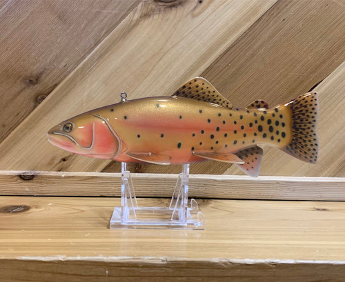 Cutthroat Trout- 1st Monroe, MI Best of show Strongville, Ohio, 3rd ...