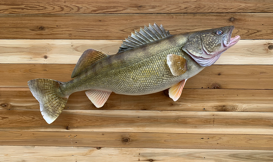 Replica Fish Mounts | Wallace Decoys