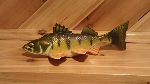 Yellow Perch | wallacedecoys