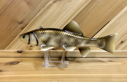 Northern Hog Sucker | wallacedecoys