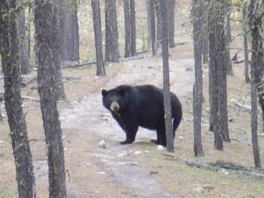 Fly-In Fishing | Ubiquity Lake Outfitters | Saskatchewan