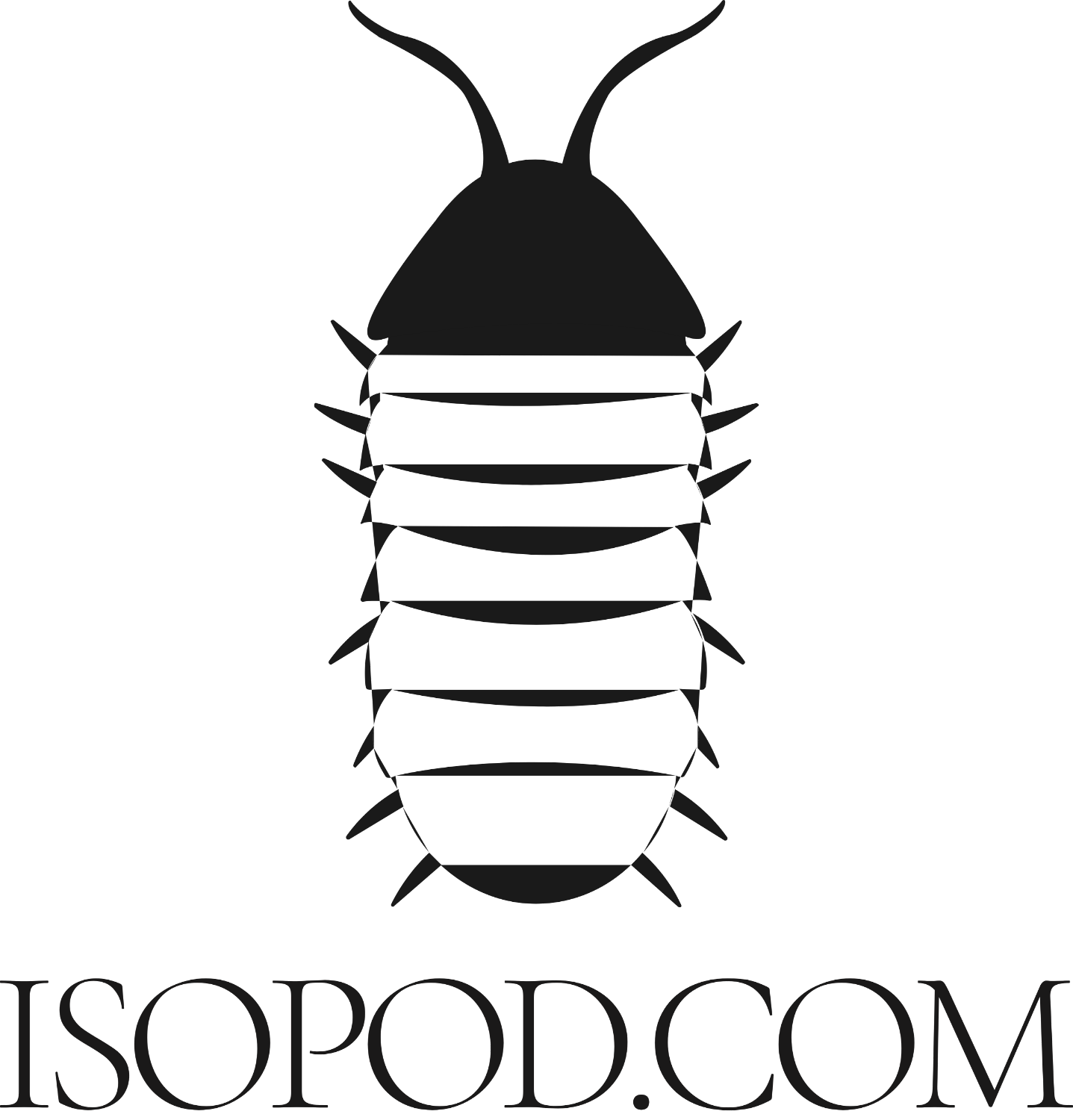 Isopods | ISOPOD FORUM