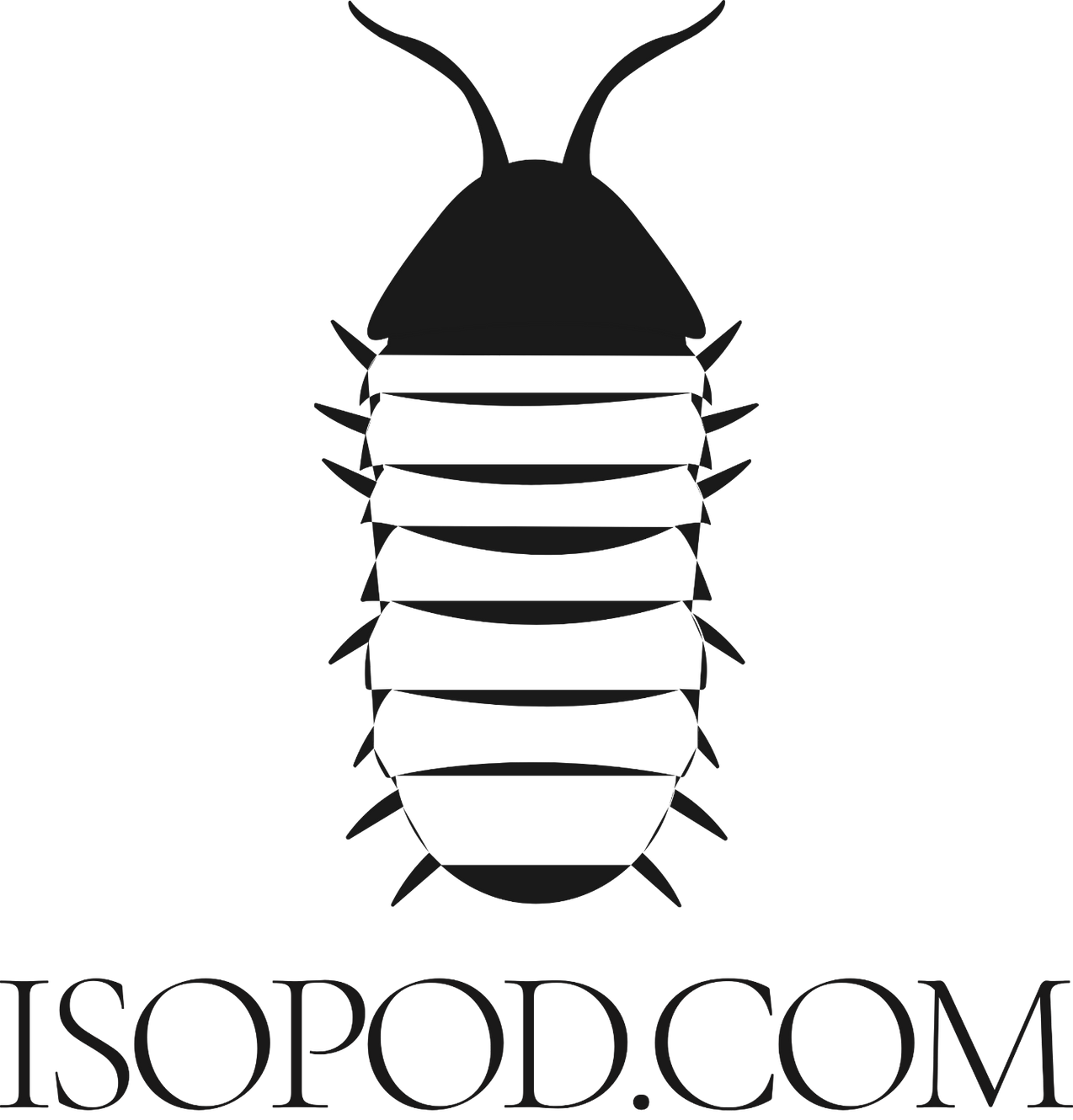 Cubaris | Isopod