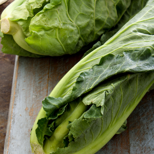 Spring Greens | Nurture Our Communit