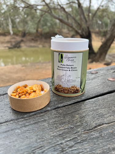 Pulse Raisers Roasted Faba Bean Sour Cream & Chive 100g (cylinder ...