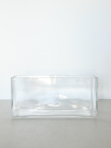 Glass Trough Vase | sprigandthistle