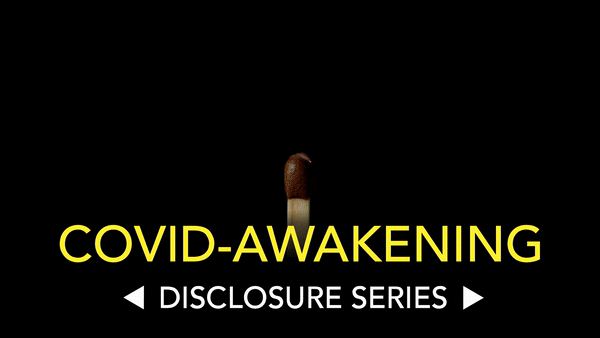 Holistic Wellbeing | Human Metamorphosis