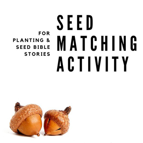 FREE Seed Matching Activity | Faith Fillers