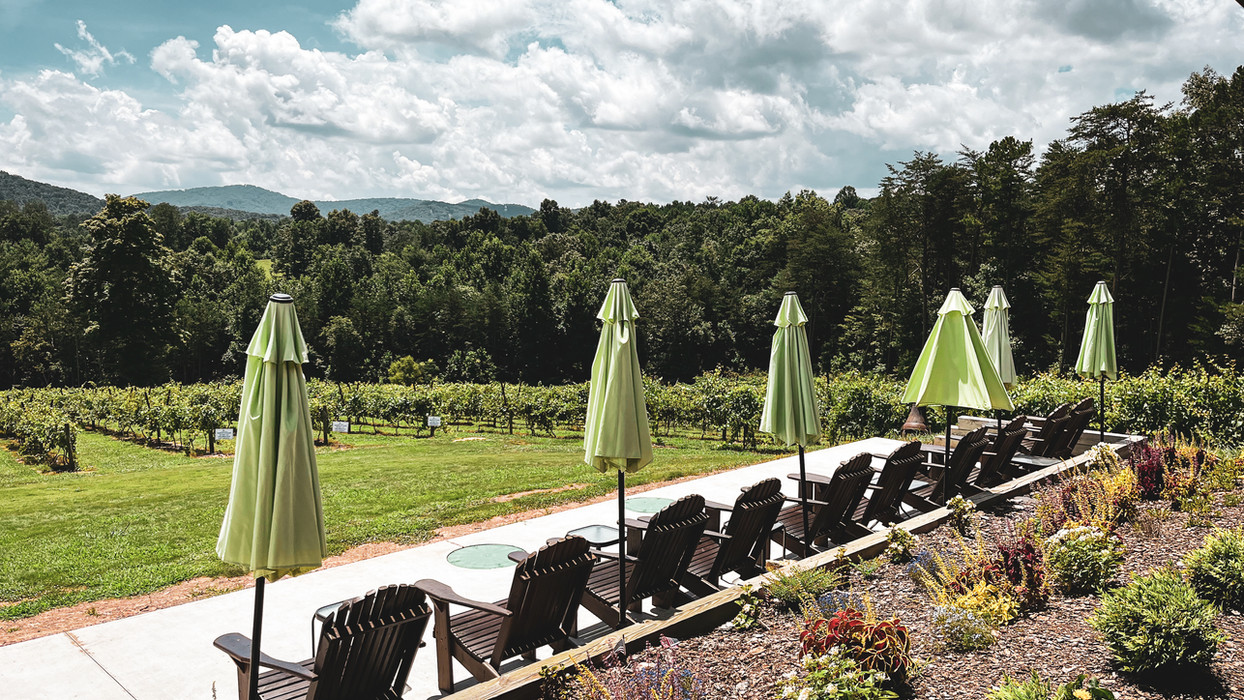 Tasting Room | Ott Vineyards