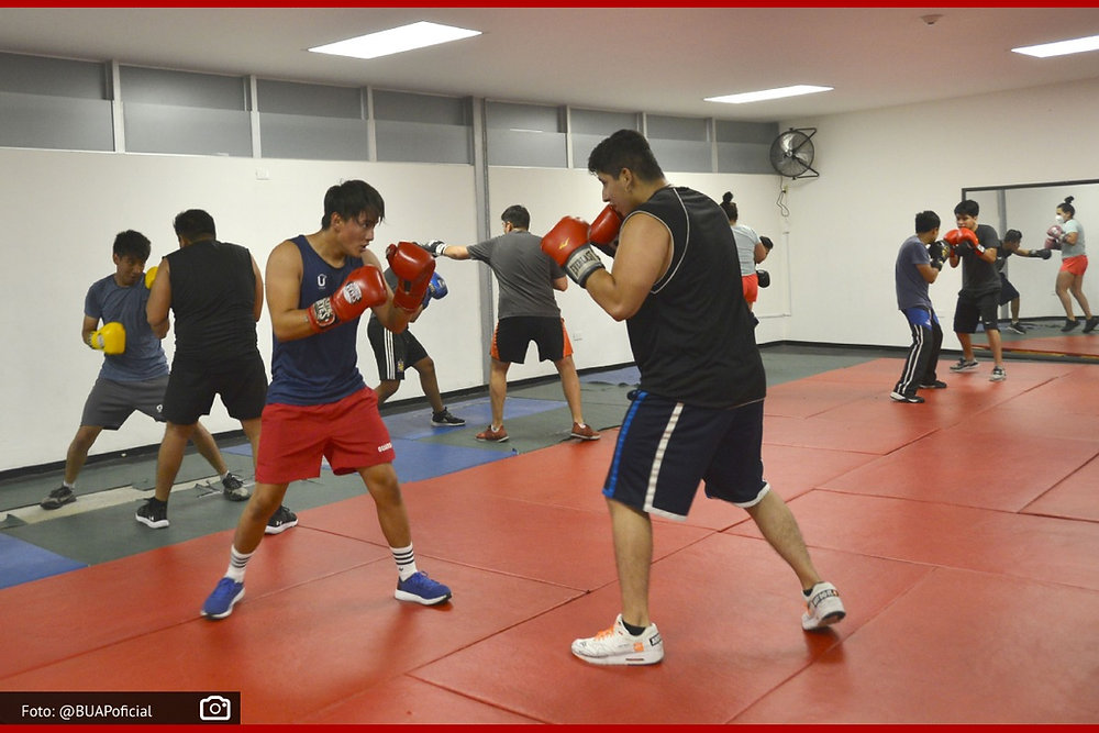 Función de box en la Arena BUAP