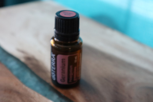 Geranium doTERRA Oil | My Favorite Groomer