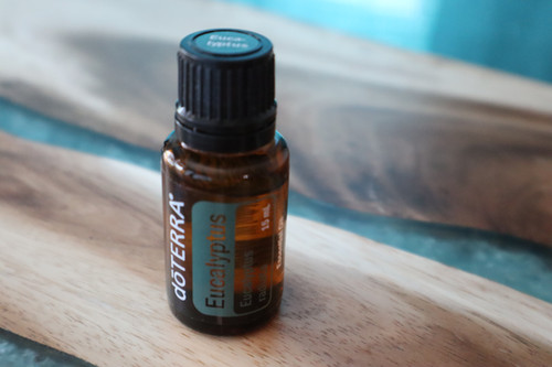 Eucalyptus doTERRA Oil | My Favorite Groomer